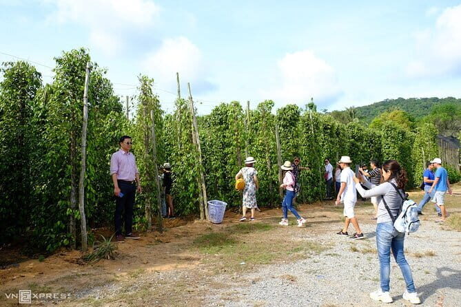 Private Tour Around Phu Quoc Island - Final Words