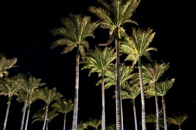 Private Tour Around the Island of Hawaii - Transportation, Timing, and Value