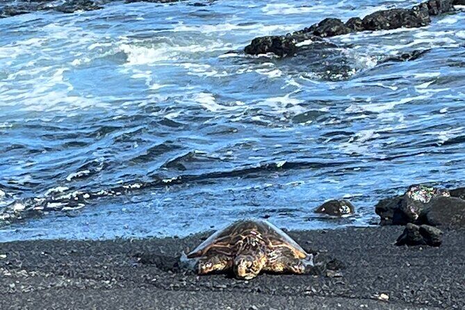 Private Tour Around the Island of Hawaii - FAQ