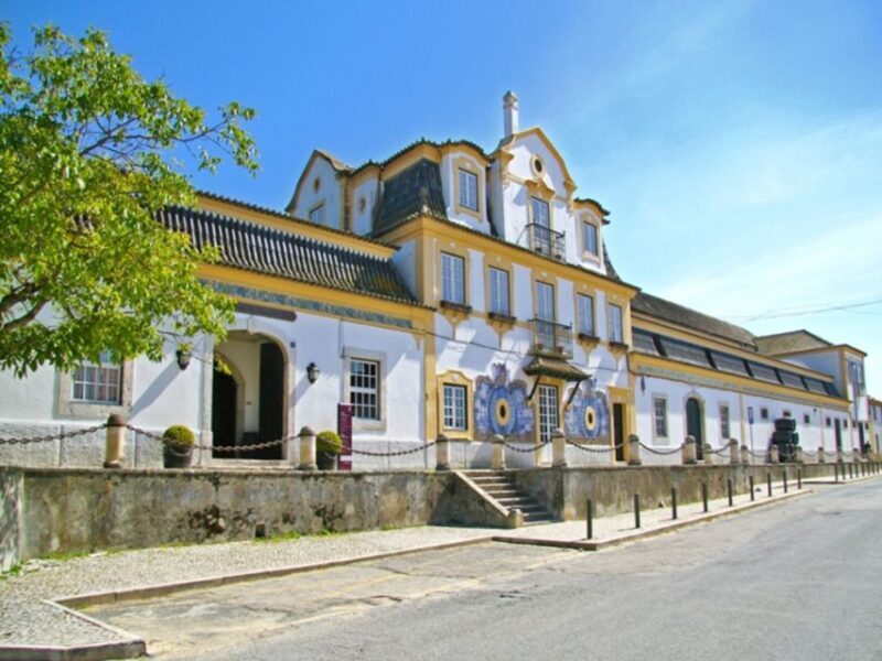 Private Tour - Arrábida & Azeitão Wine Region - An Antidote to the City Hustle: Why Choose This Tour?