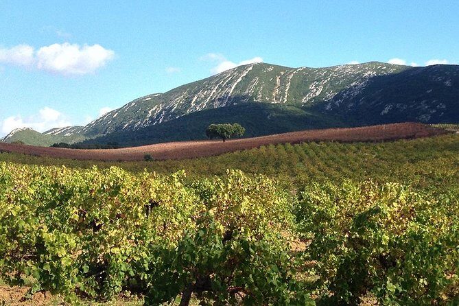 Private Tour: Arrábida Day Trip from Lisbon Including Wine Tasting - Final Thoughts