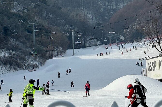 Private Tour at Nami Island and Elysian Ski Resort - Who Should Consider This Tour