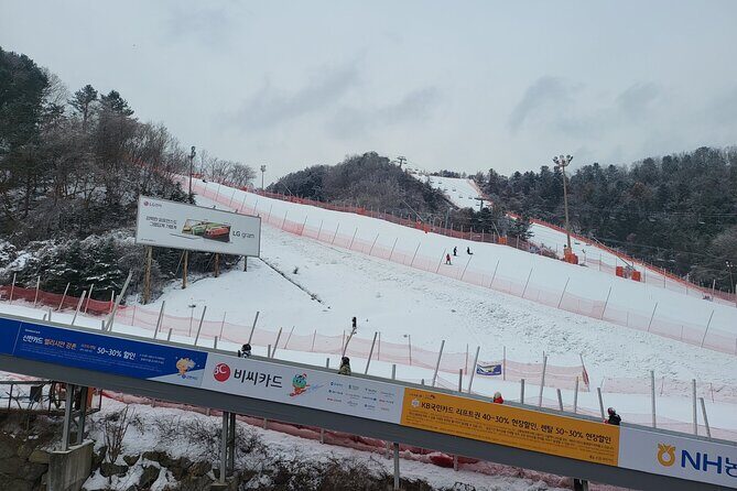 Private Tour at Nami Island and Elysian Ski Resort - Final Takeaway