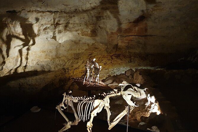 Private Tour at Naracoorte Caves - Key Points