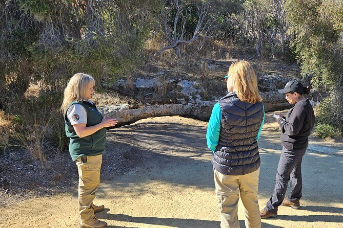 Private Tour at Naracoorte Caves - An In-Depth Look at What You’ll Experience