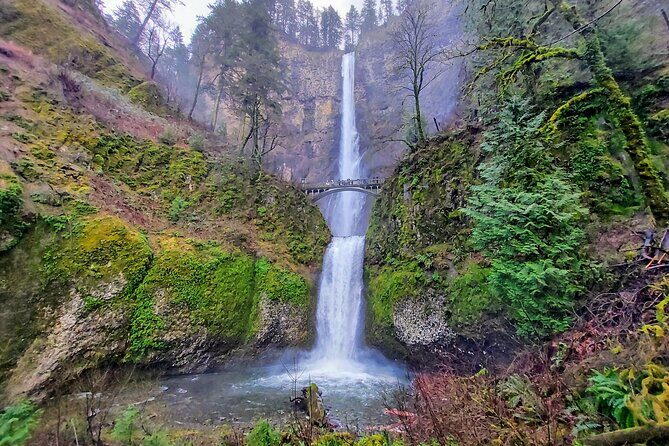 Private Tour at The Hood-Columbia Loop: Timberline, Orchards, and Waterfalls - The Sum Up: Who Is This Tour Best For?