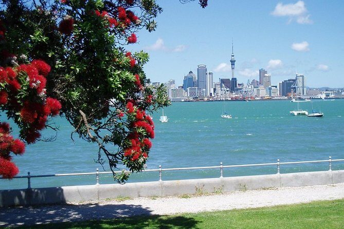 Private Tour: Auckland City and Countryside Tour - Who Should Consider This Tour?