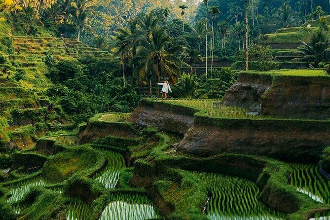 Private Tour Authentic Bali Experience in Ubud - Why Choose This Ubud Tour?