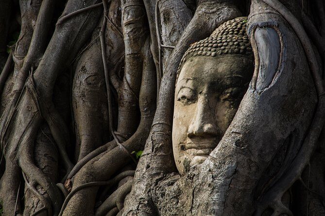 Private Tour : Ayutthaya World Heritage Site - Why This Tour Offers Good Value