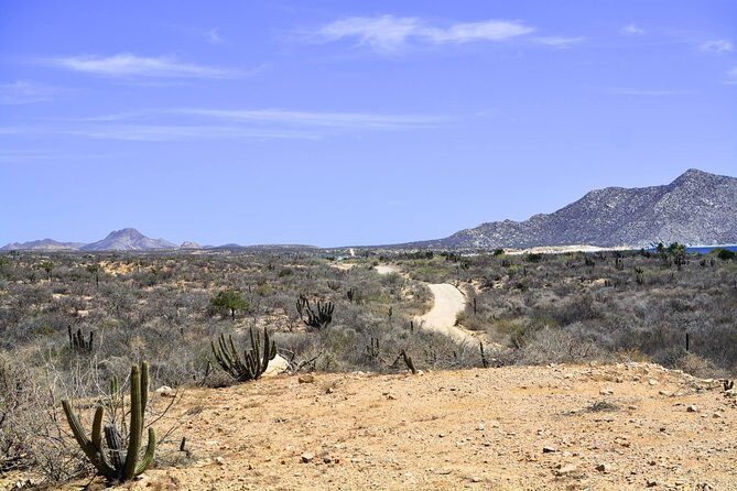 Private Tour Baja Jeep 4x4 Adventure at Los Cabos - FAQs