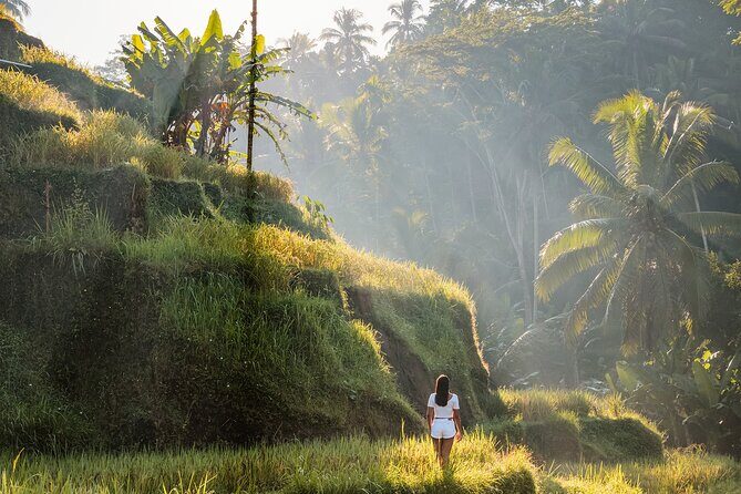 Private Tour : Bali Bird park and Tegenungan Waterfall - The Practical Aspects: What to Expect