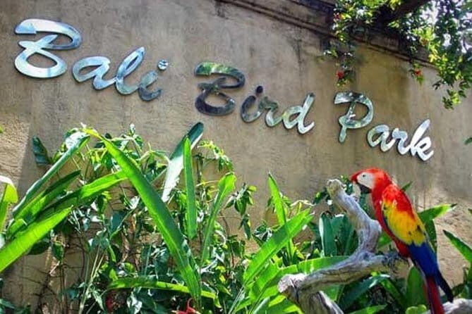 Private Tour Bali Bird Park And Ubud Tour - Key Points
