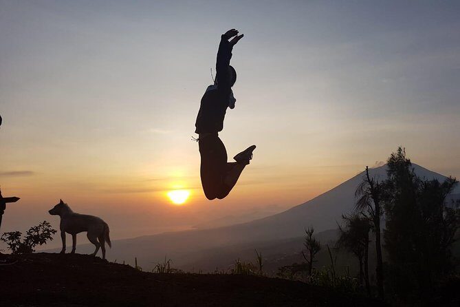 Private Tour Bali - Key Points