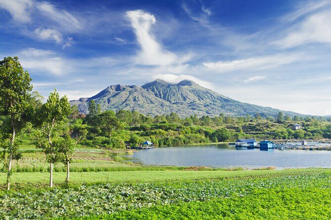Private Tour: Bali Volcano with Jungle Swing Experience - What Makes This Tour a Good Deal?
