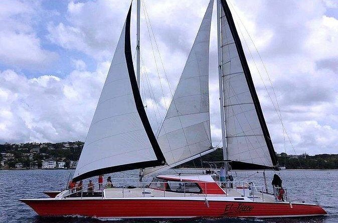 Private Tour: Barbados Catamaran Snorkeling Cruise - FAQ