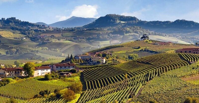Private Tour: Barolo Wine Tasting in Langhe area from Torino - The Sum Up: Who is This Tour Best For?