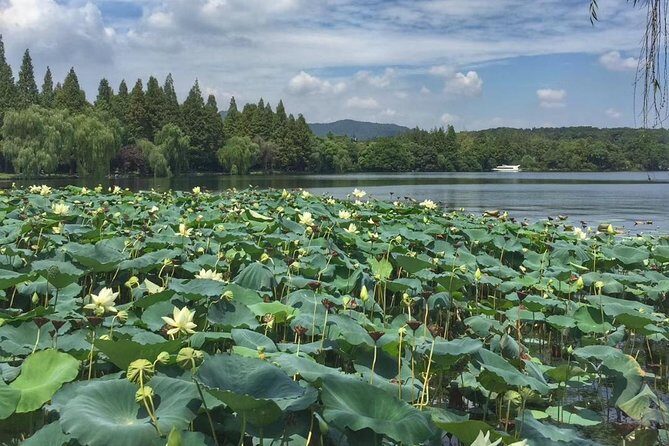 Private Tour: Beijing Hutong Night Walking and snacks Taste - Final Thoughts