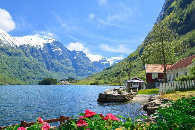 Private tour, Bergen to Oslo - Nærøyfjord Cruise & Flåm Railway - What Travelers Say About the Tour