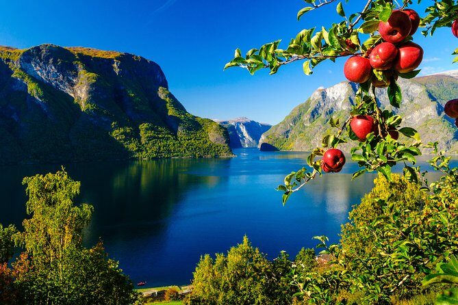 Private tour, Bergen to Oslo - Nærøyfjord Cruise & Flåm Railway - Who Is This Tour Best For?