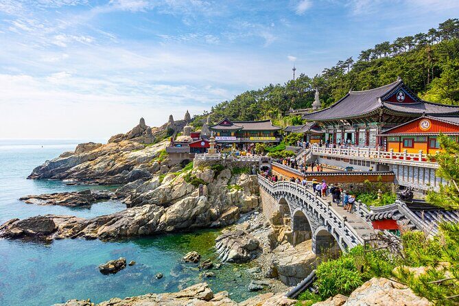 Private Tour Best of Busan Full Day - Final Thoughts