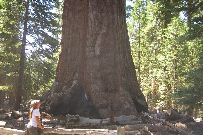 Private Tour: Best of the West 11-Day National Parks Tour with Lodging - Final Thoughts