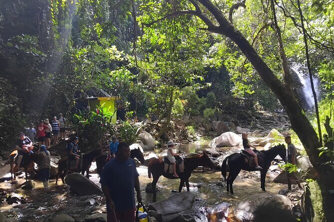 Private Tour Biausevu Waterfall and Fijian Village Experience - Hike to Biausevu Waterfall