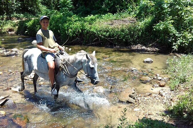 Private Tour Biausevu Waterfall and Fijian Village Experience - Optional Horseback Tour