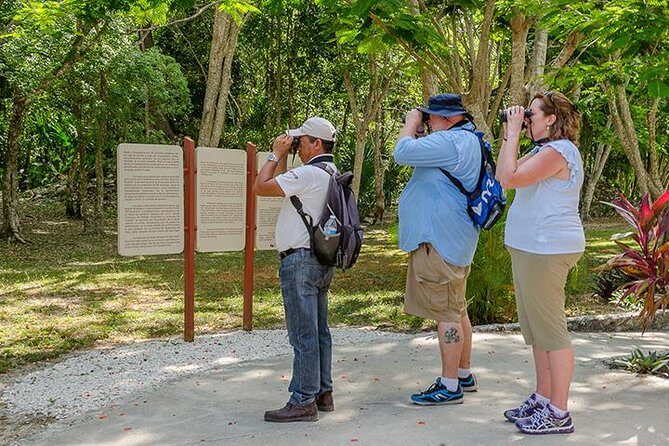 Private Tour: Birdwatching Playa del Carmen - The Practical Side: Price, Duration, and Value