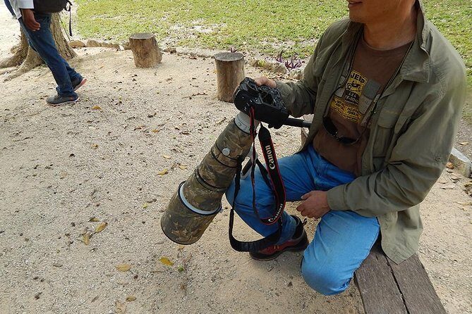 Private Tour: Birdwatching Playa del Carmen - The Sum Up: Is It Worth It?