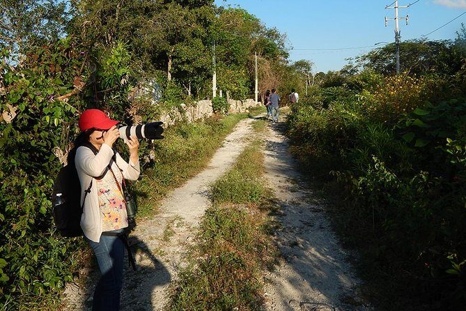 Private Tour: Birdwatching Playa del Carmen - FAQ