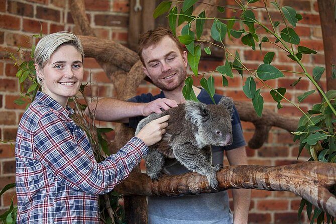 Private Tour: Blue Mountains Day Trip from Sydney - Scenic Highlights of the Blue Mountains
