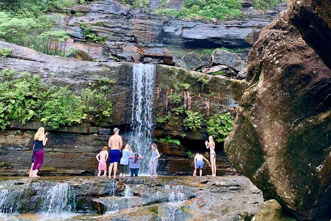 Private Tour: Blue Mountains Hiking & Nature - How Does it Compare to Other Options?