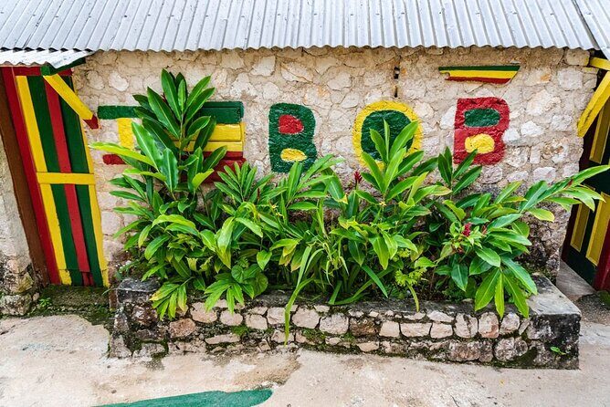 Private Tour Bob Marley Nine Mile From Negril - Pricing and Value