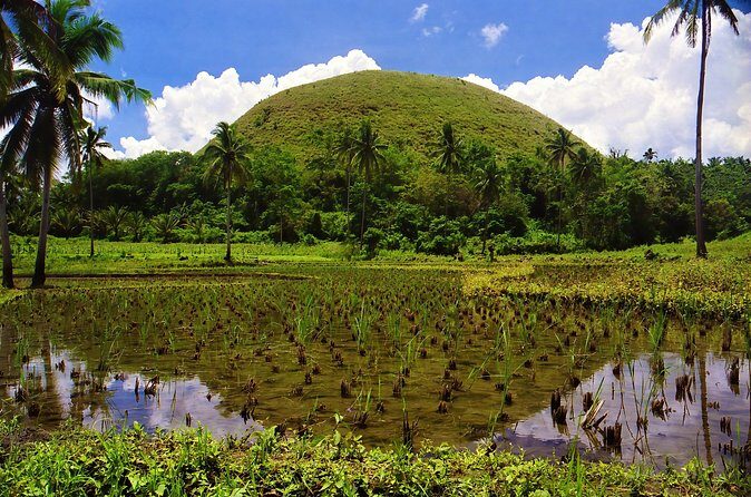 Private Tour Bohol Chocolate Hills Loboc River Cruise - Who Would Enjoy This Tour?