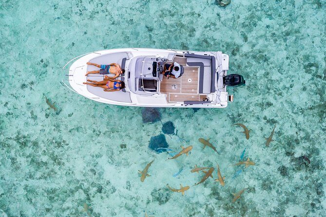 Private Tour: Bora Bora Lagoon Eco Snorkel Cruise - 3hrs or 6hrs - An Authentic, Intimate Look at Bora Bora’s Underwater World