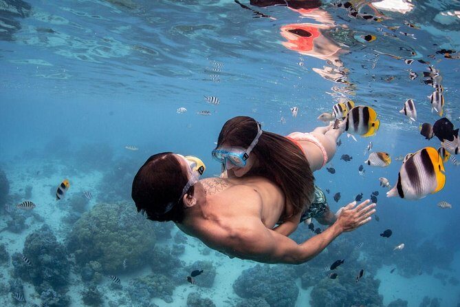 Private Tour: Bora Bora Lagoon Eco Snorkel Cruise - 3hrs or 6hrs - Who Will Love This Tour?