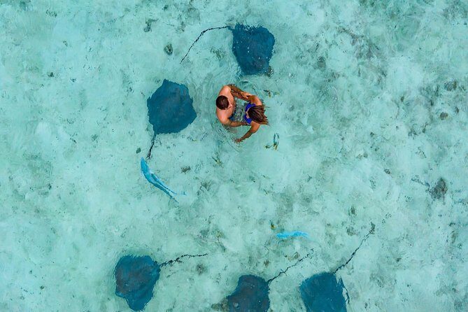 Private Tour: Bora Bora Lagoon Eco Snorkel Cruise - 3hrs or 6hrs - FAQ: Your Questions Answered