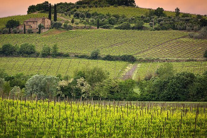 Private tour Brunello di Montalcino and Nobile di Montepulciano wine experience in Tuscany - Key Points