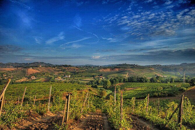 Private tour Brunello di Montalcino and Nobile di Montepulciano wine experience in Tuscany - Practical Details & Considerations