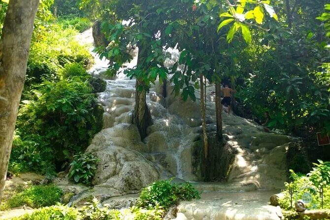 Private Tour: Bua Thong Sticky Waterfalls Tour - What’s Included and What’s Not
