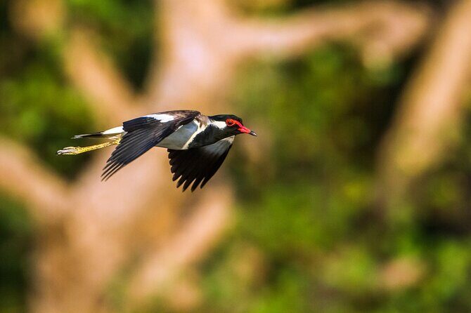 Private Tour Bundala National Park Safari From Hambantota - FAQ