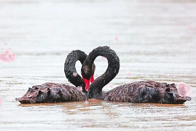 Private Tour by metro of Shanghai Zoo, Qibao Old Town and Shanghai Tower - Exploring Shanghai Through Its Metro System