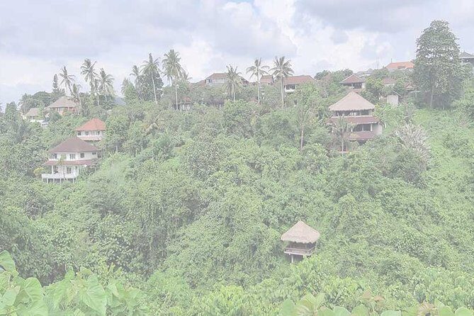 Private Tour: Campuhan Ridge Walk, Ubud Rice Terrace & Ubud Palace - Authentic Reviews and What They Say