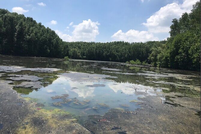 Private Tour Can Gio Mangrove Biosphere - Exploring the Can Gió Mangrove Biosphere: A Detailed Journey