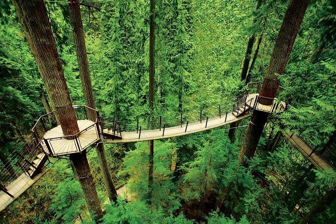 Private Tour: Capilano Suspension Bridge and Grouse Mountain - The Sum Up