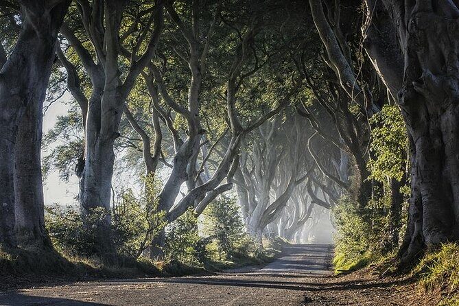 Private Tour - Causeway, Castles & Whiskey Tour - Game of Thrones - Key Points