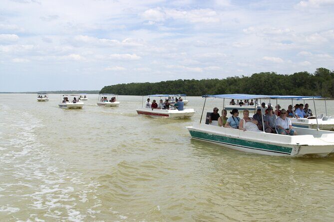 Private Tour: Celestun Biosphere Reserve by Yucatan Concierge - What to Expect from the Tour: A Deep Dive