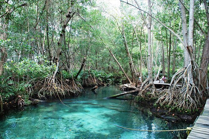 Private Tour: Celestun Biosphere Reserve by Yucatan Concierge - Wrap-Up: Is It Worth It?