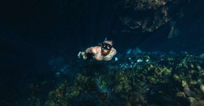 Private Tour cenotes of Mucuyche & Santa Barbara in one day - An In-Depth Look at the Tour Experience