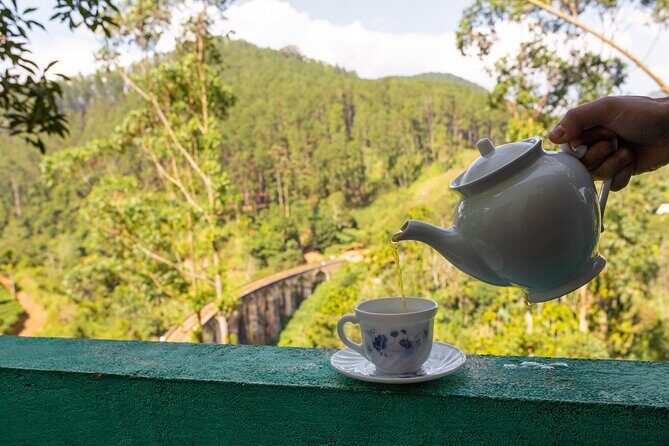Private Tour Ceylon Tea Experience from Colombo - A Deep Dive into the Experience